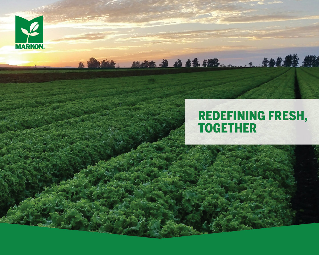 Printables Archives - Markon