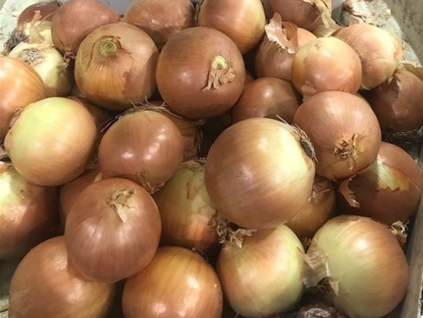 UPDATE: ONIONS - Markon