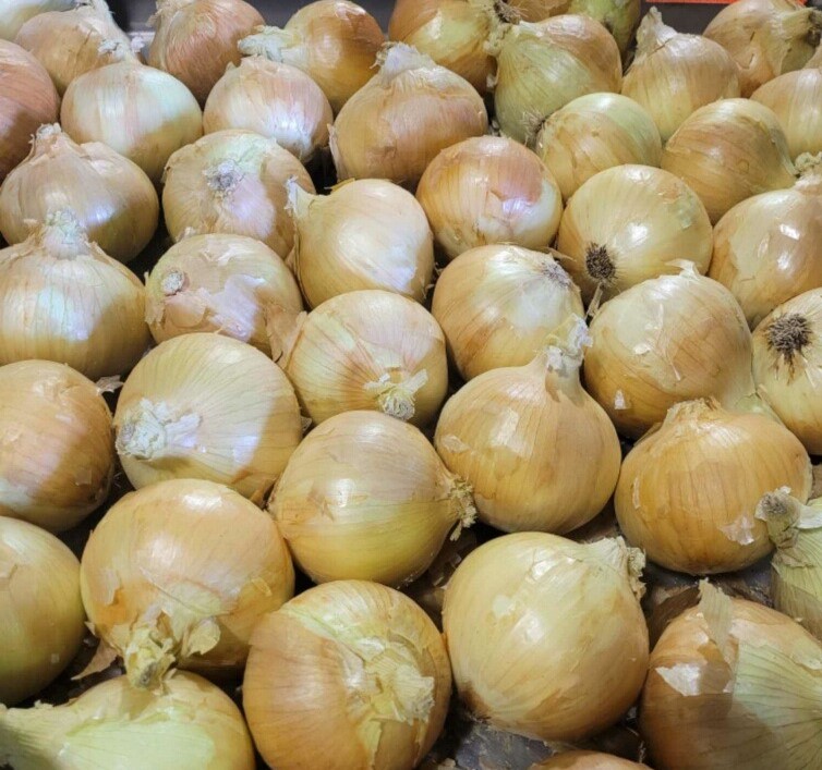 UPDATE: ONIONS - Markon