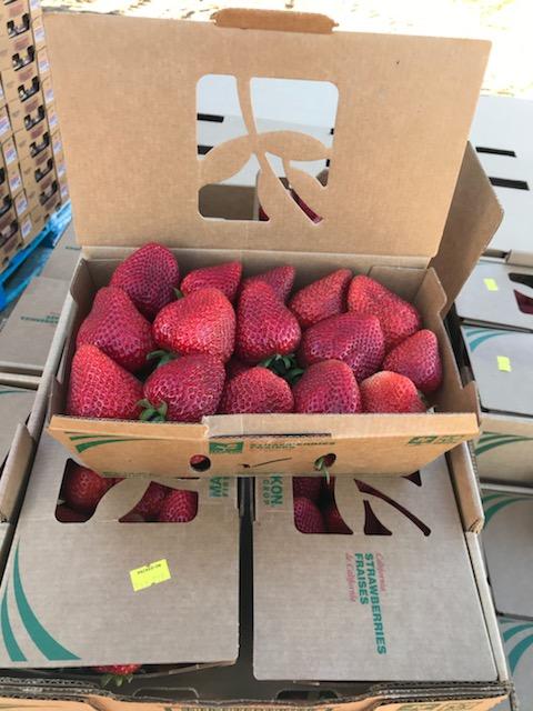 UPDATE: CALIFORNIA STRAWBERRIES - Markon