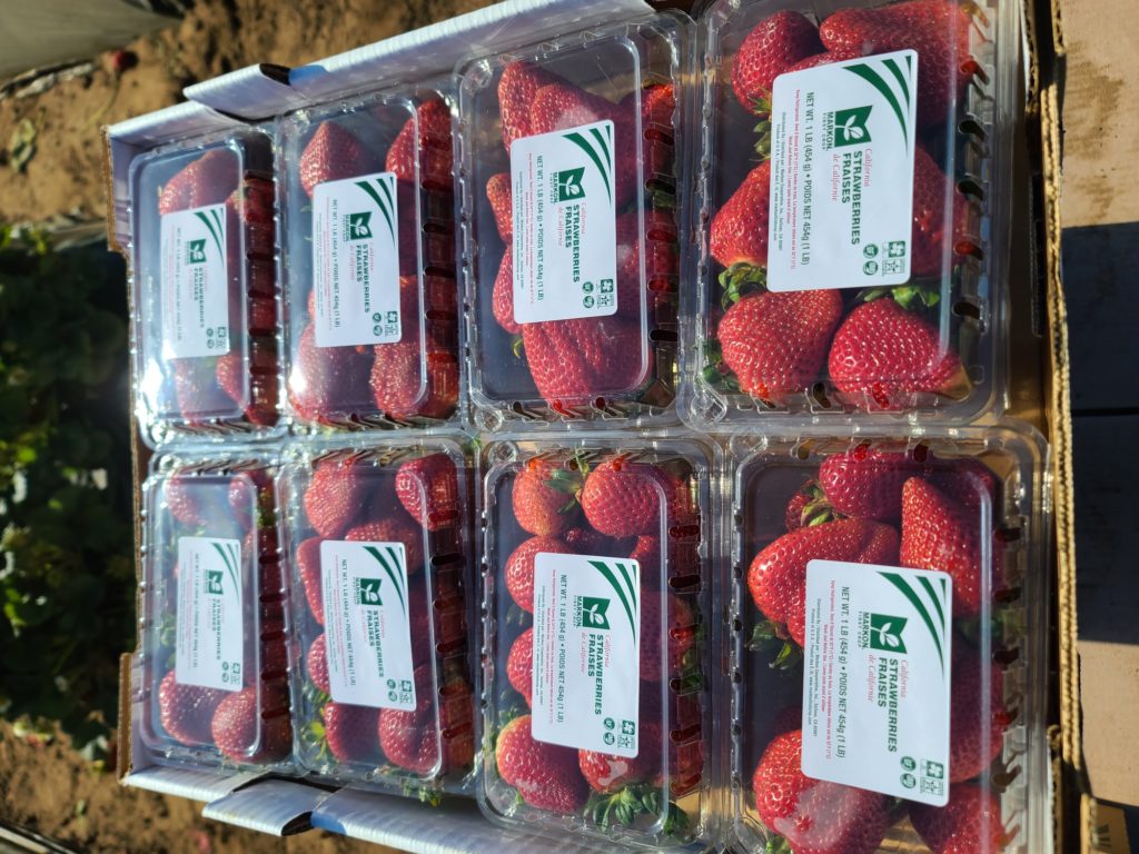 UPDATE: CALIFORNIA STRAWBERRIES - Markon
