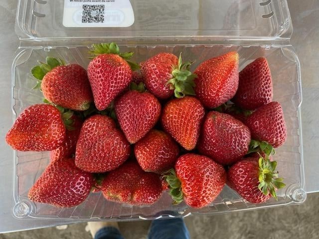 UPDATE: CALIFORNIA STRAWBERRIES - Markon