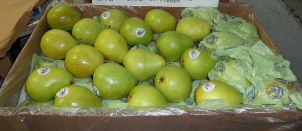 UPDATE: PEARS - Markon