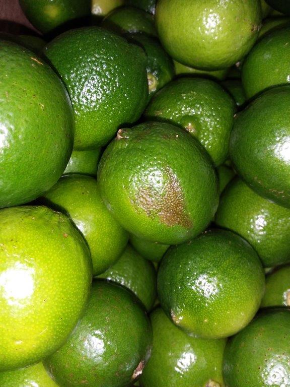 UPDATE: LIMES - Markon