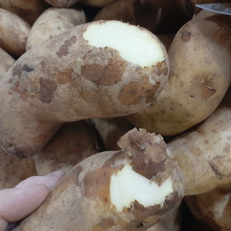 UPDATE: POTATOES - Markon