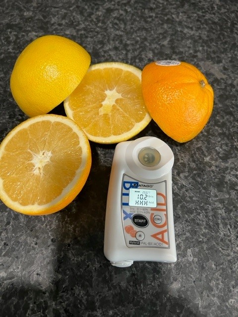 UPDATE: CALIFORNIA ORANGE TRANSITION - Markon