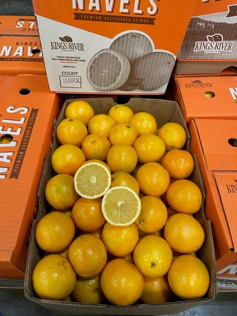 UPDATE: CALIFORNIA ORANGE TRANSITION - Markon