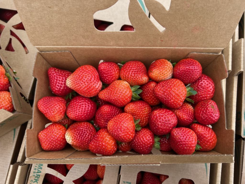 UPDATE: STRAWBERRIES - Markon