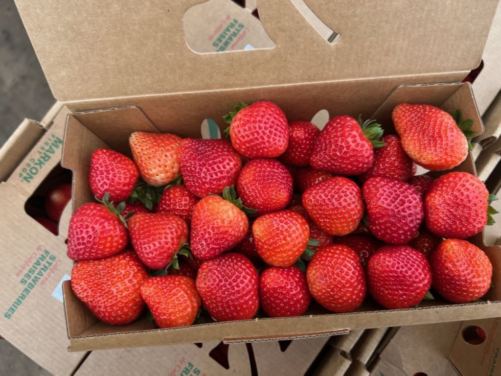 UPDATE: STRAWBERRIES - Markon