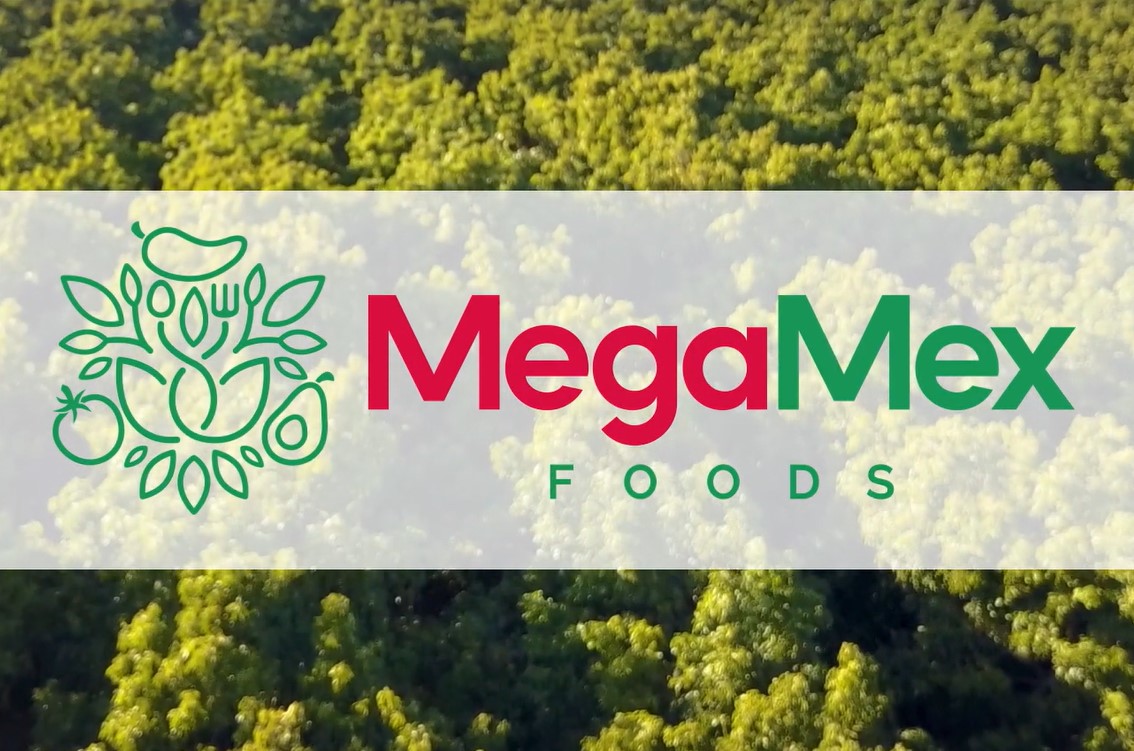 Logotipo De Megamex Megamex — MaHarry.work