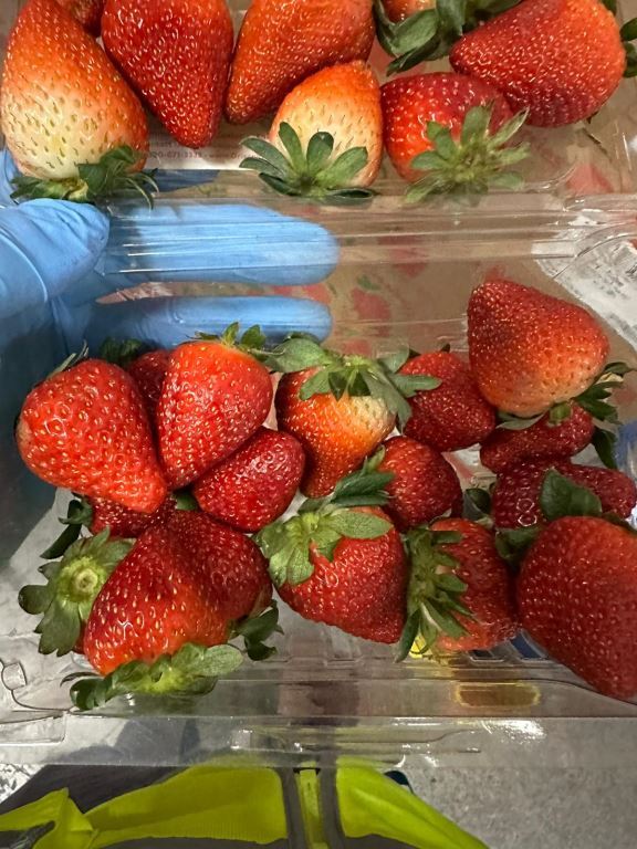 UPDATE: STRAWBERRIES - CENTRAL MEXICO - Markon