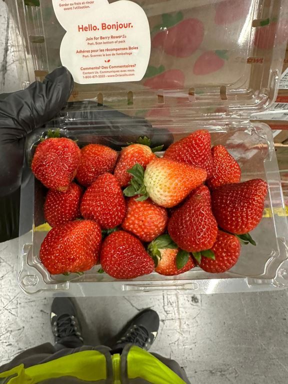 UPDATE: STRAWBERRIES - Markon