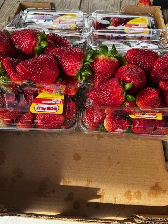 UPDATE: STRAWBERRIES - Markon
