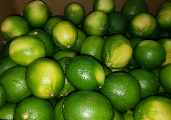 UPDATE: LIMES - Markon
