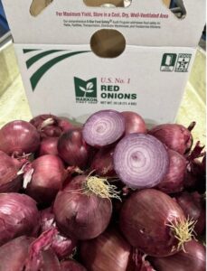 UPDATE: ONIONS - Markon