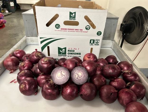 UPDATE: ONIONS - Markon