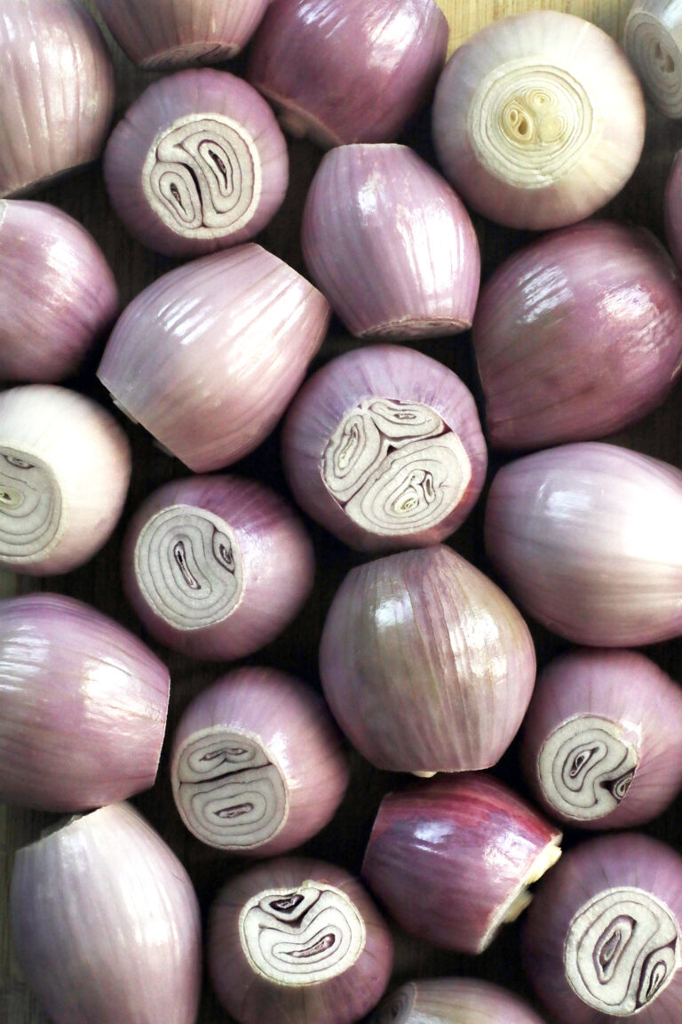 Culinary Trends - Markon