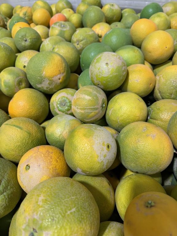 UPDATE: CALIFORNIA NAVEL DE-GREENING - Markon