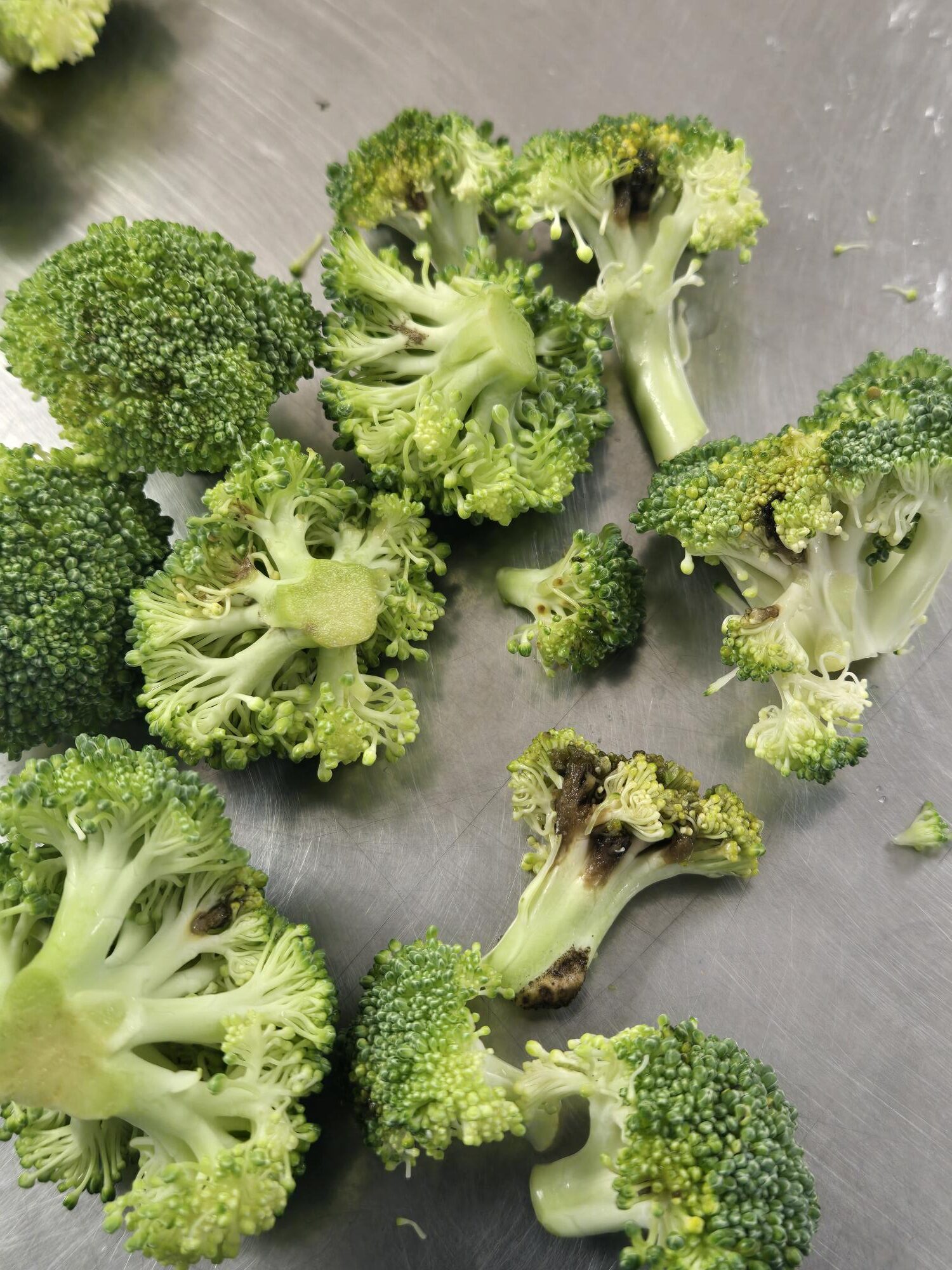 FROM THE FIELDS: PIN ROT IN DESERT BROCCOLI SUPPLIES - Markon